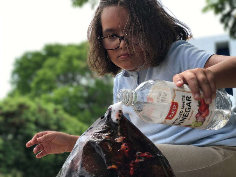 Lockerbie College Barbados - Welcome to Lockerbie