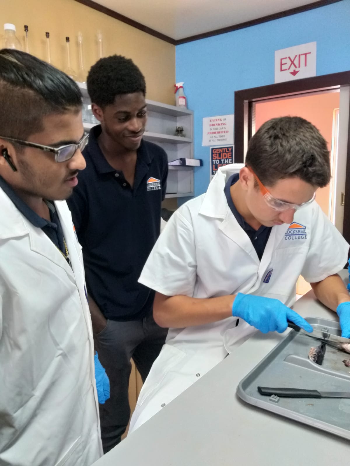 Why Lockerbie College - Lockerbie College Barbados