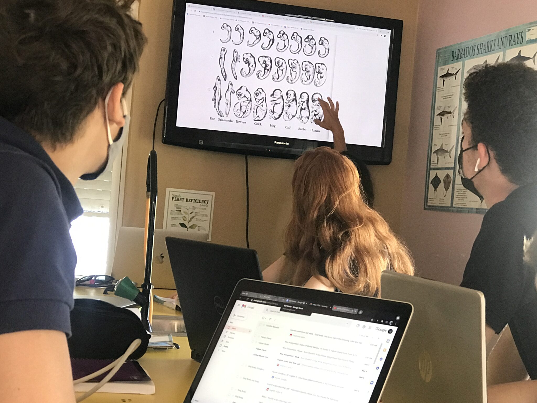 Admissions - Lockerbie College Barbados